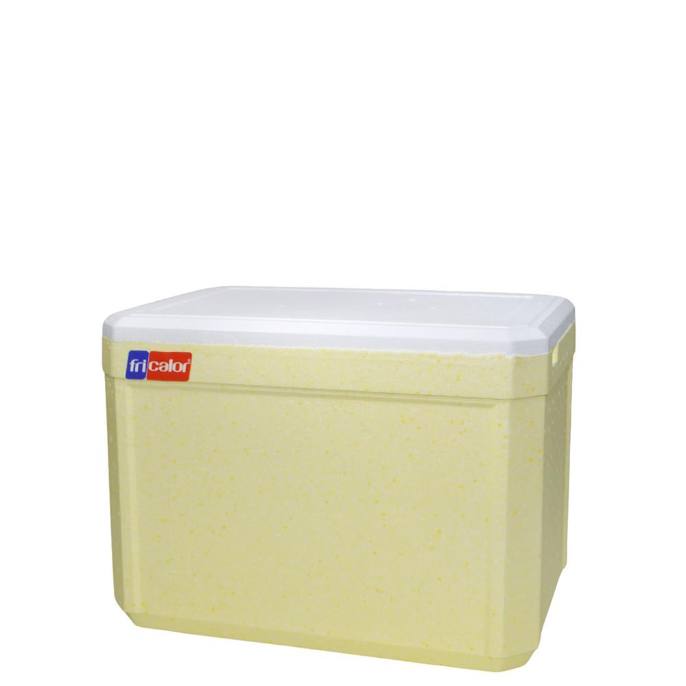 Caixa Térmica de Isopor C/ Alça 18 Litros Ref. 010126 Fricalor (01 ...