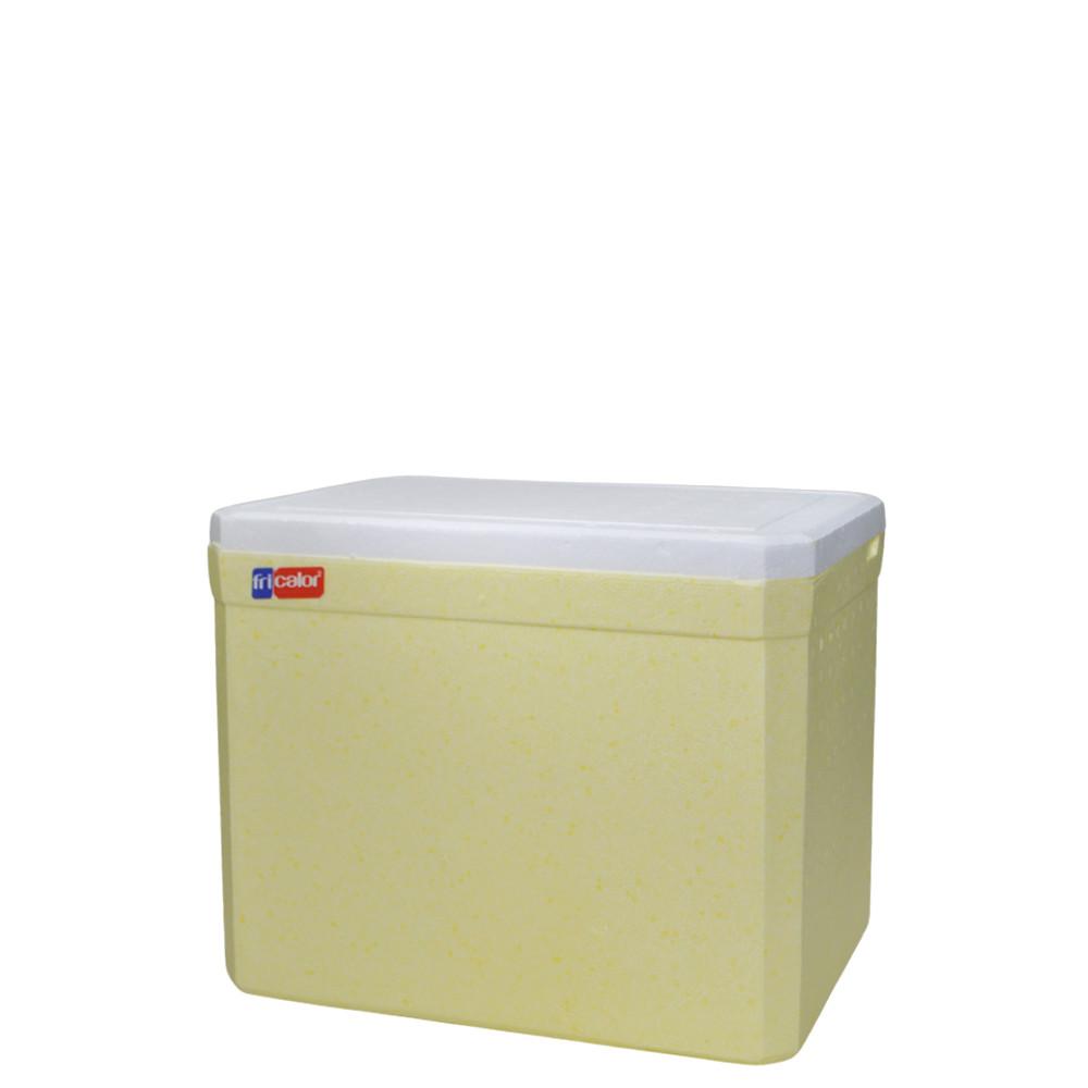 Caixa Térmica de Isopor C/ Alça 14 Litros Ref. 010124 Fricalor (01 ...